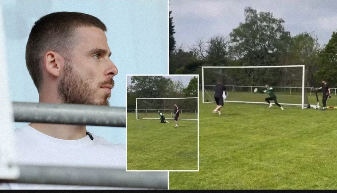 Former Manchester United Goalkeeper and David De Gea world have start ...